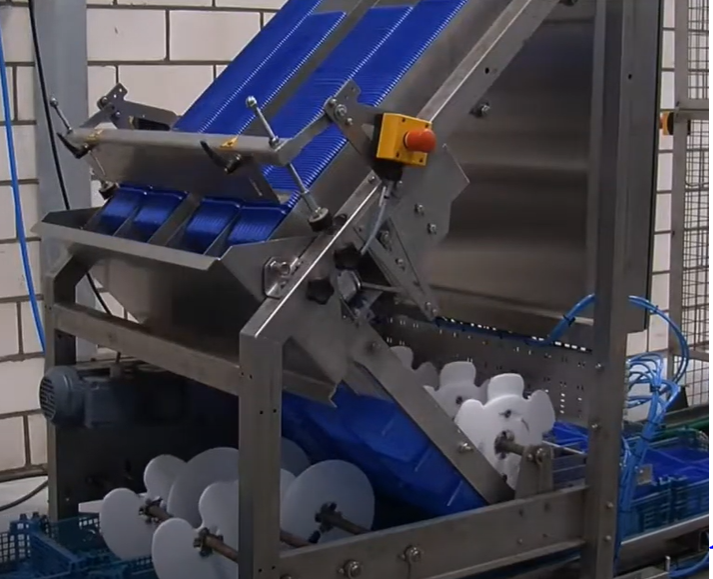 Punnet Inserter | Bekijk nu meer | ARCO